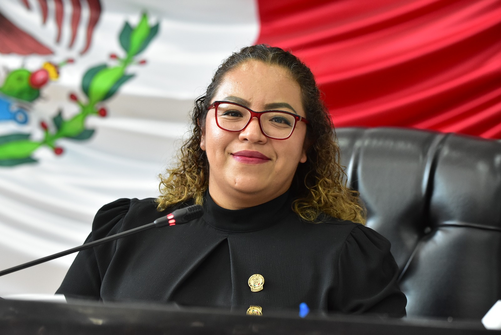 Propone Elizabeth Guzmán implementación de licencias permanentes para ...